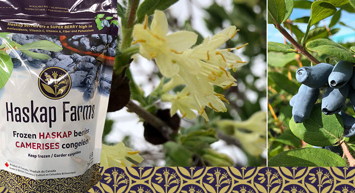 Organic Haskap Berries, the Better Berry. – Haskap Farms Ltd